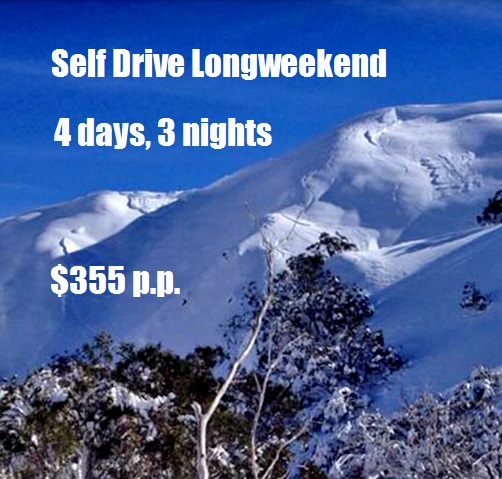 Self Drive Long weekend peak | Snowmonkey
